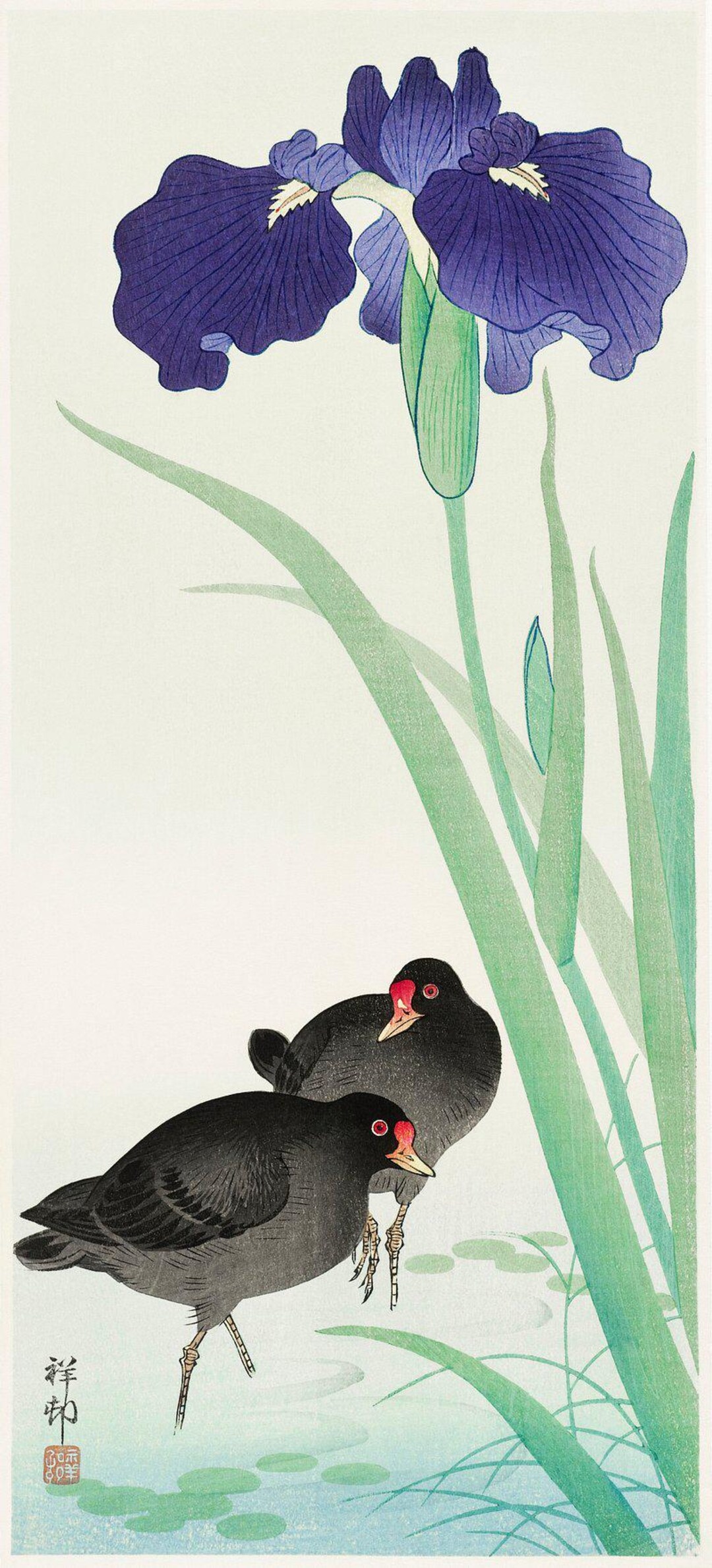 Ohara Koson Print | Moorhens Art | Iris Print | Vintage Painting | Japanese Art | Bird Print ...