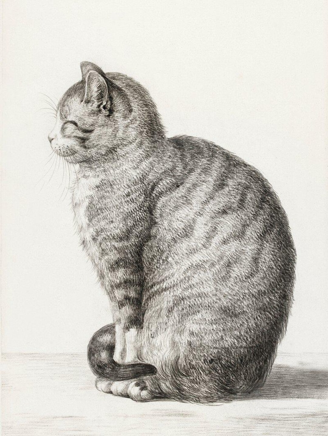 Vintage Cat Art | Antique Cat Print | Feline Wall Art | Historical Cat ...
