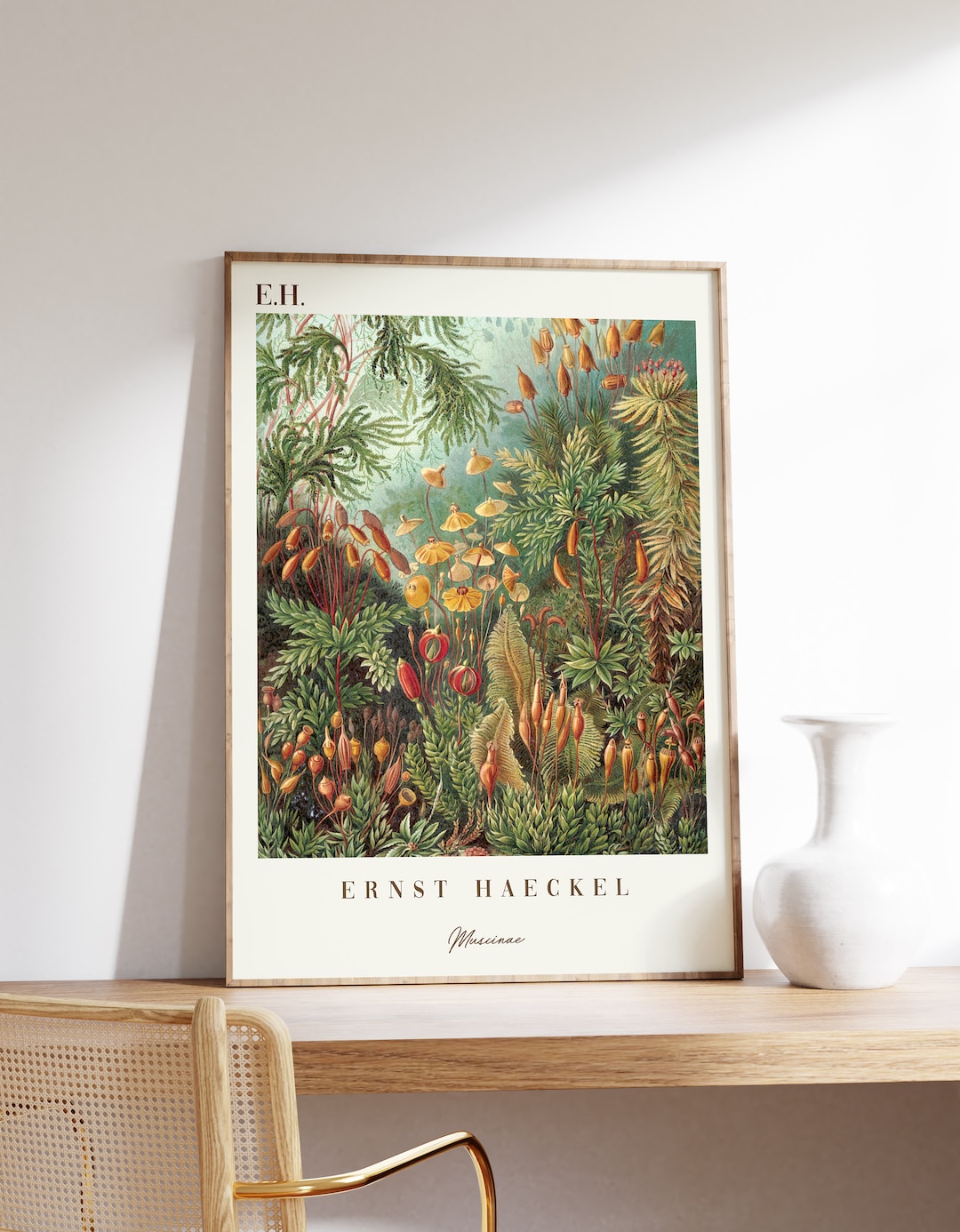 Ernst Haeckel - Muscinae | Botanical Print | Vintage Print | Flowers ...