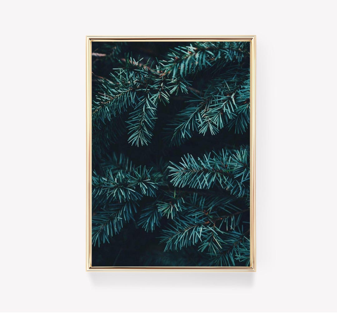 Pine Tree Print | Nature Art | Evergreen Poster | Landscape Print ...