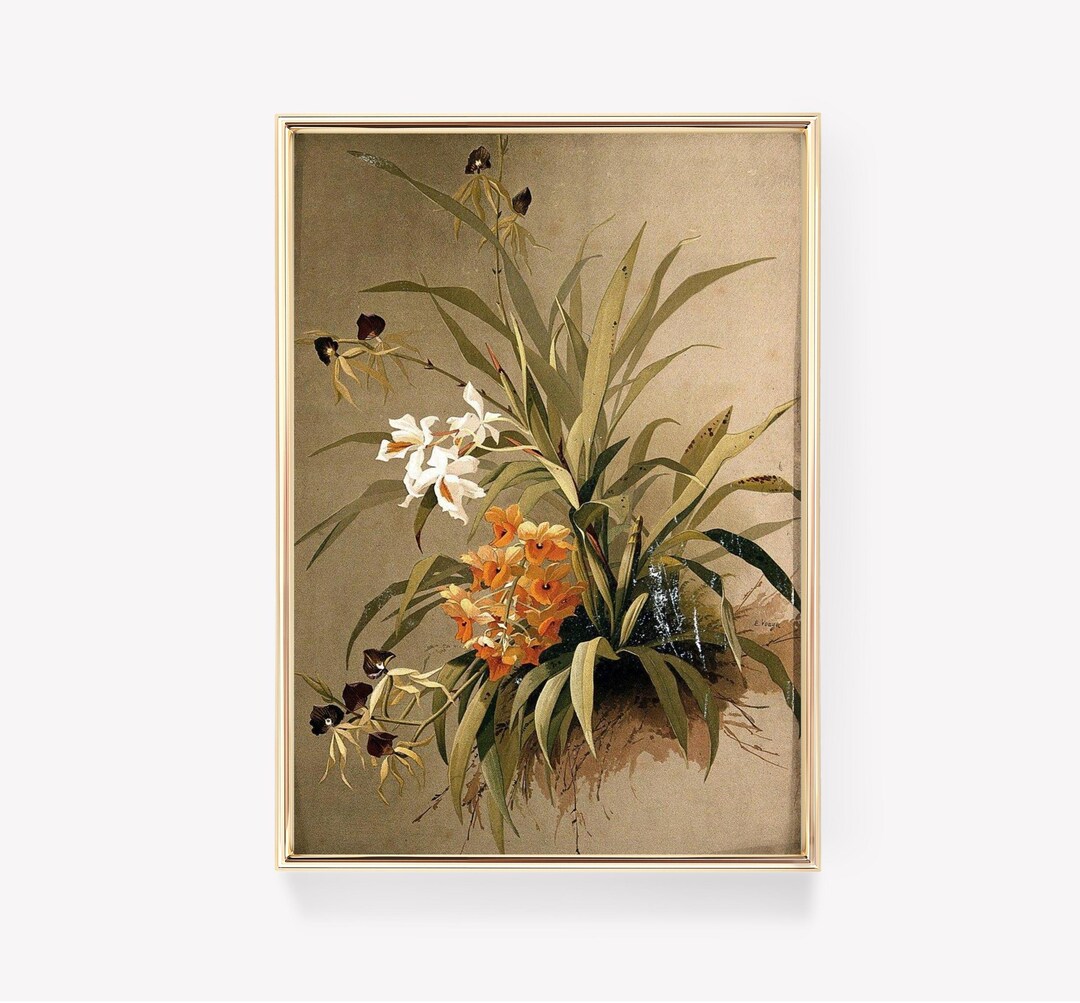 Orchid Art Print | Vintage Flower Print | Botanical Wall Art | Vintage ...