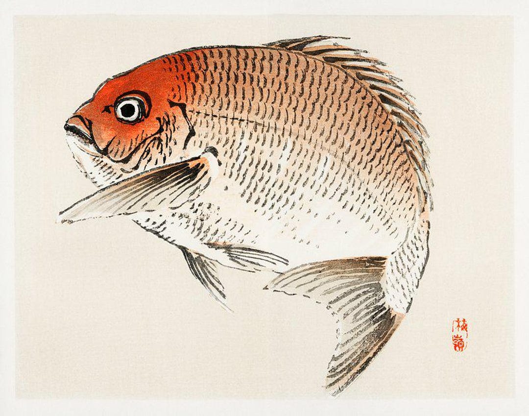 Katsushika Hokusai Print | Red Sea Bream Art | Japanese Fish Print ...