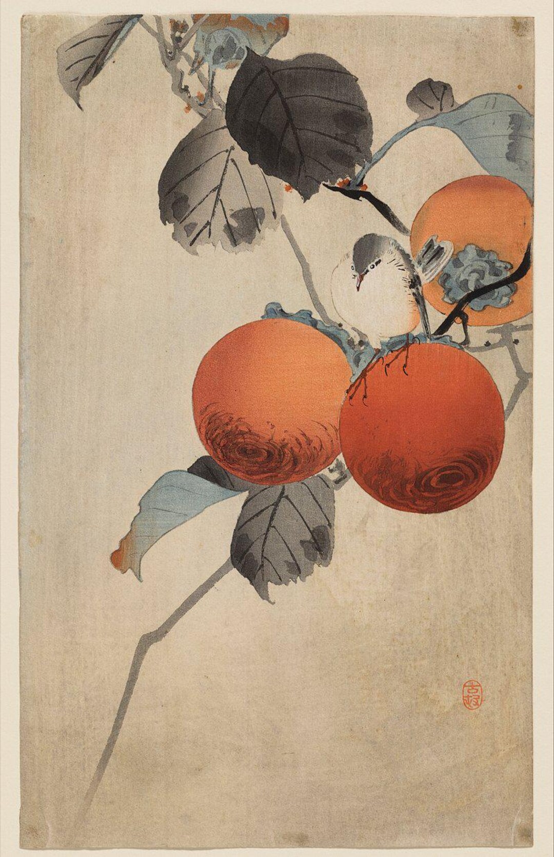 Bullfinch Cherry Print | Weeping Cherry Art | Hokusai Camellia Print ...