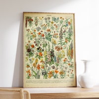 Nature Poster - Etsy