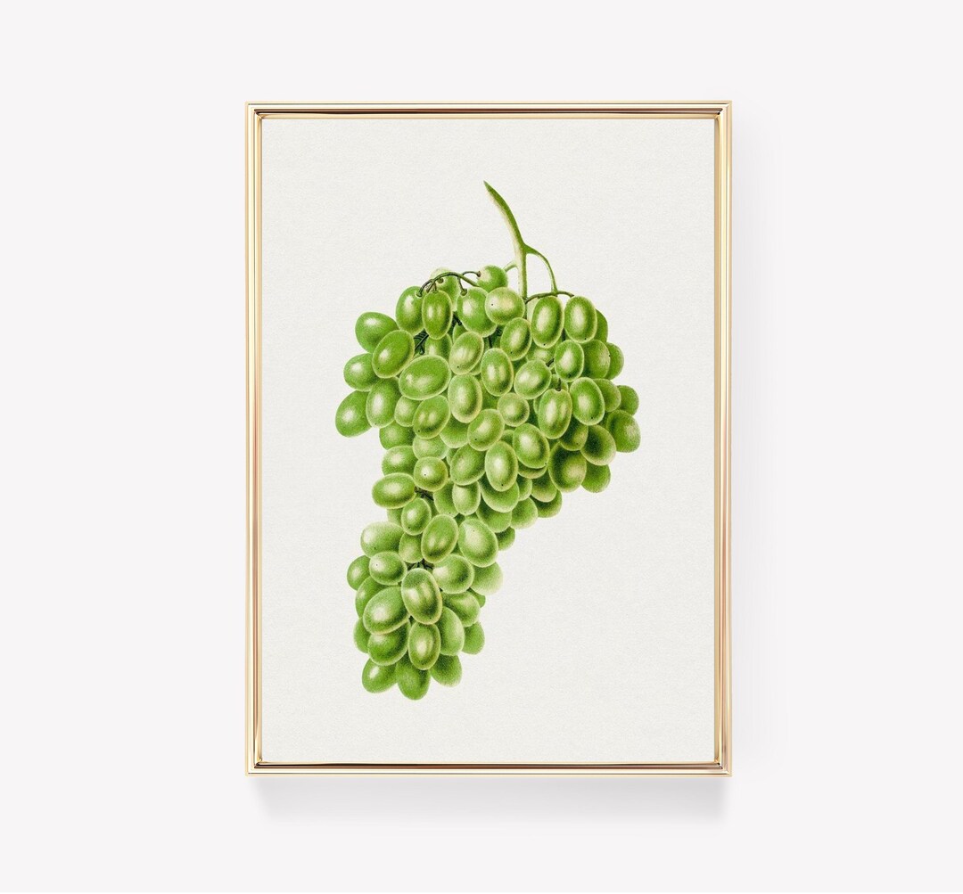 Vintage Grapes Print | Antique Fruit Art | Nature Illustration | Wall ...