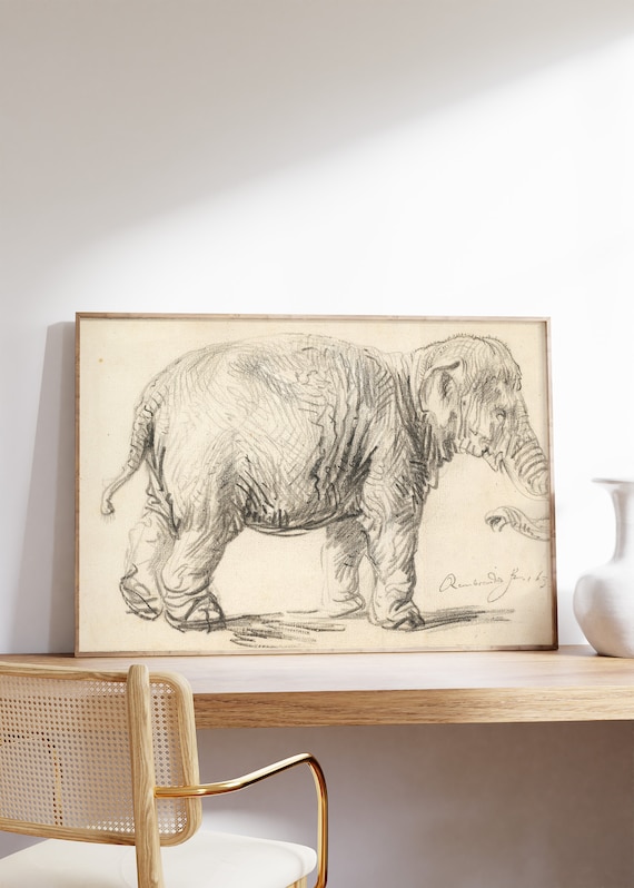 Rembrandt Animal Drawings