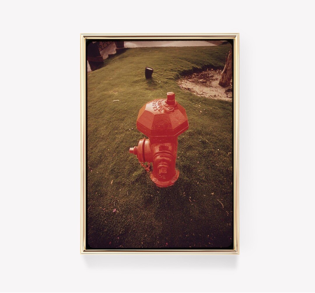 Fire Hydrant Art | Lawn Decor Print | Urban Landscape | Modern Wall Art ...