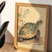 Japanese Turtle Poster | Animal Poster | Turtle Art Print | Turtle Wall ...