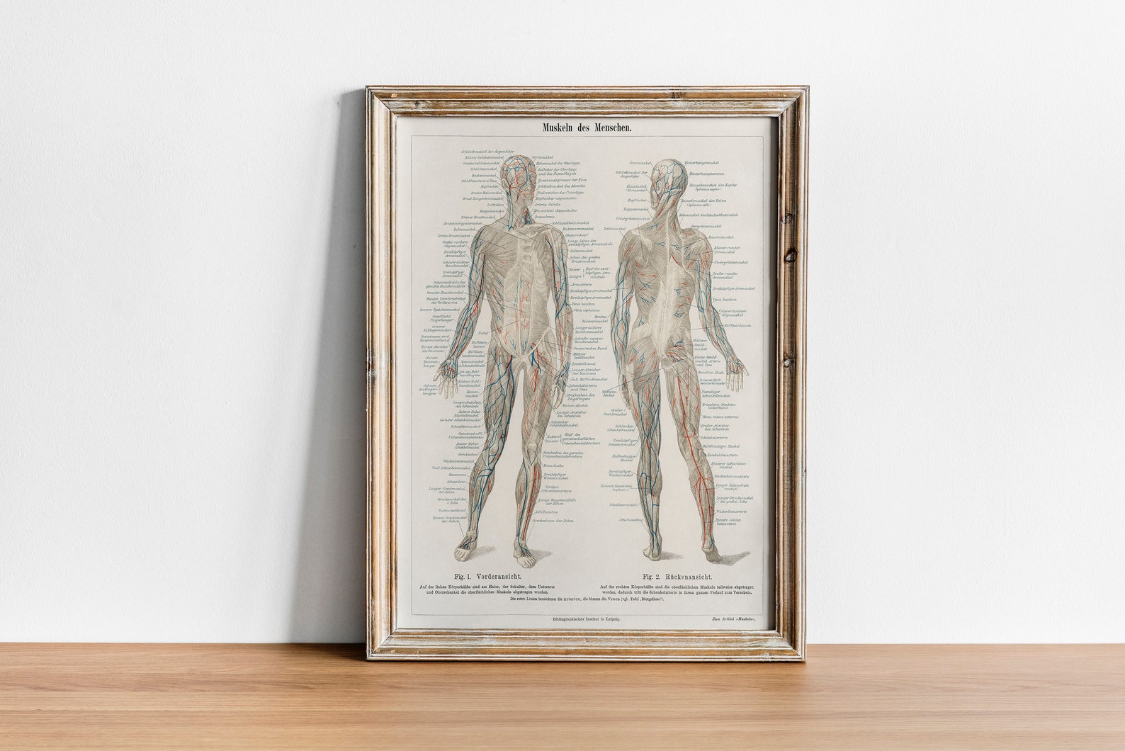 Surgeon Print | Body Anatomy Art Print | Human Anatomy Art | Vintage ...