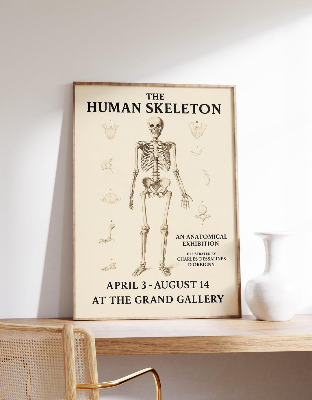 Human Skeleton Print, Anatomy Chart Print, Bone Study Art, Medical Wall ...