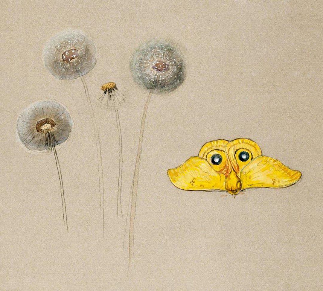 J.J. Grandville | Les Fleurs Animées | Flower Fantasy | Vintage Art ...