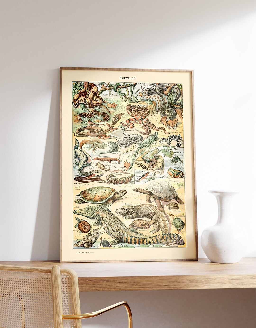 Vintage Snakes Print | Reptiles II by Adolphe Millot | Lizard Art Print ...