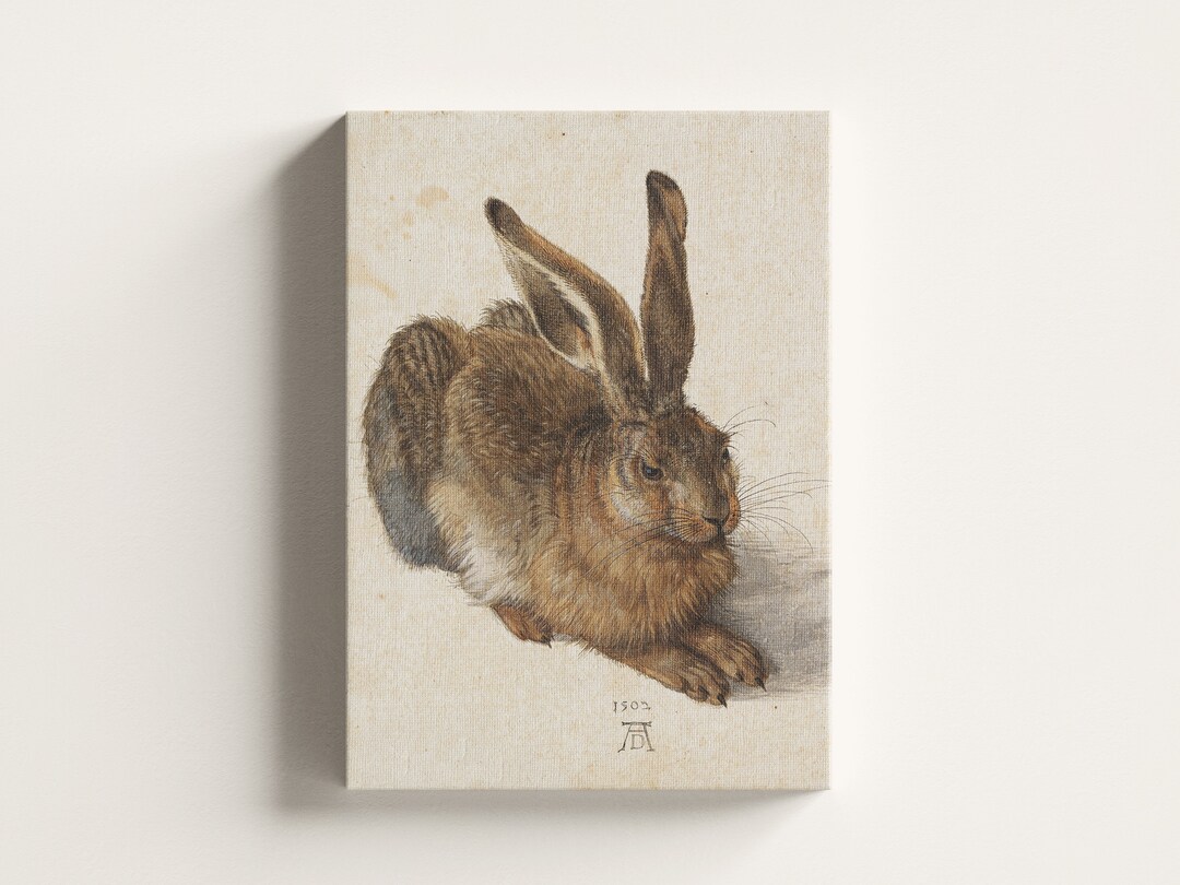 Premium Canvas | Albrecht Durer - Young Hare (1502) | Vintage Painting ...
