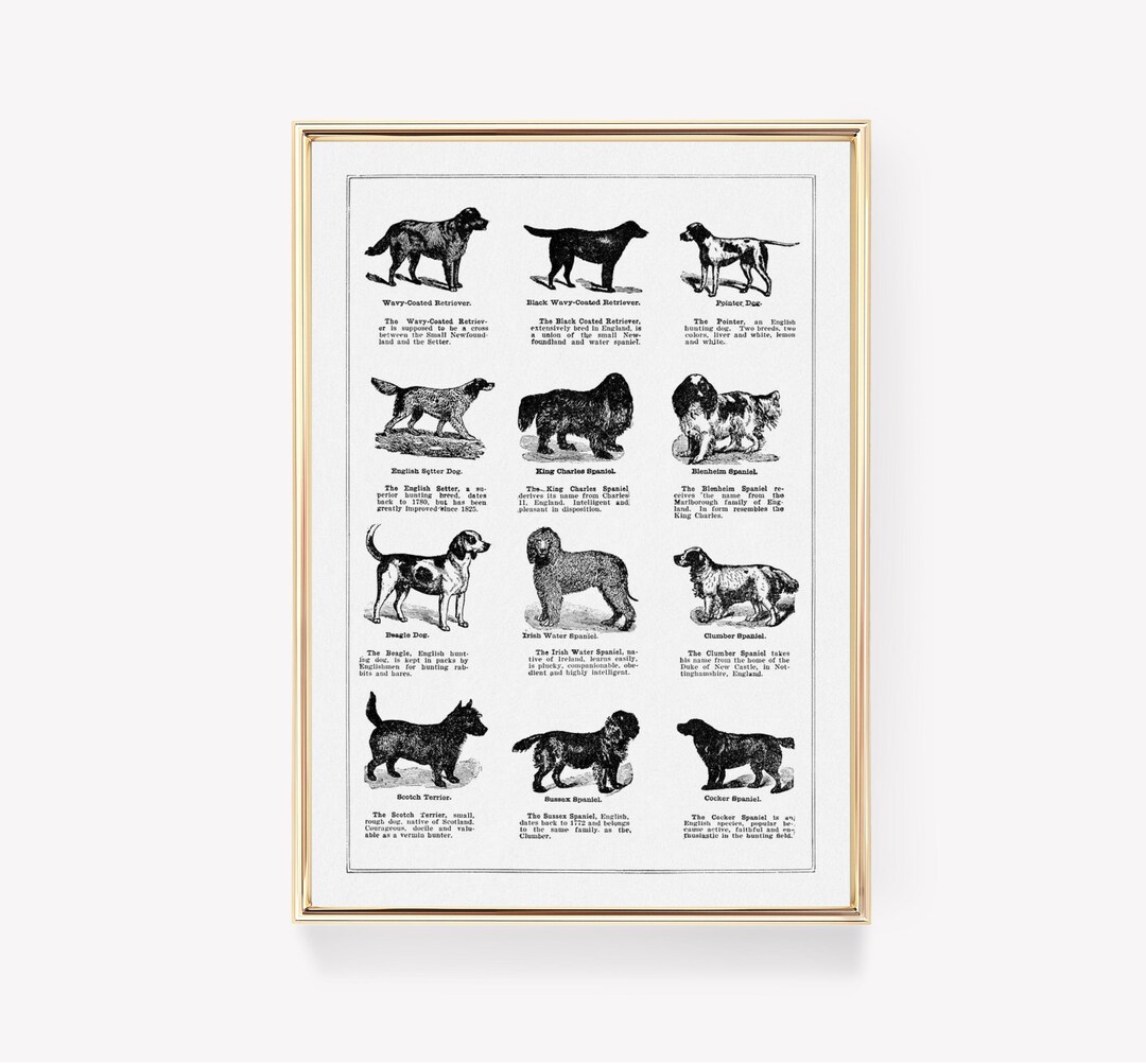 Dog Breeds Print | Puppy Art | Canine Illustration | Pet Print ...