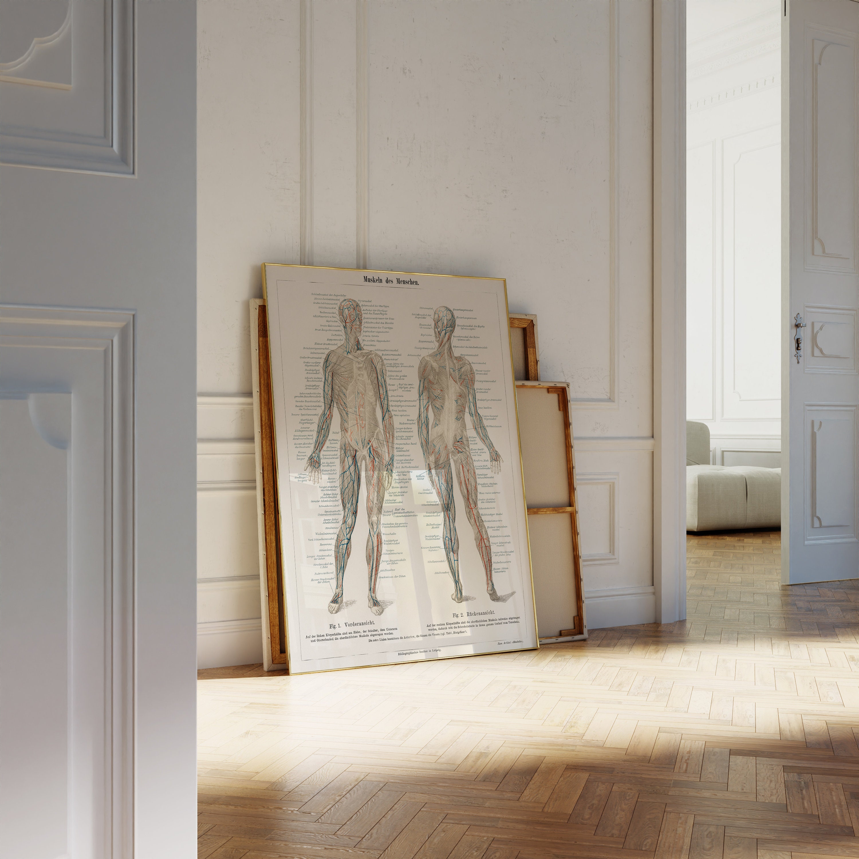 Surgeon Print | Body Anatomy Art Print | Human Anatomy Art | Vintage ...