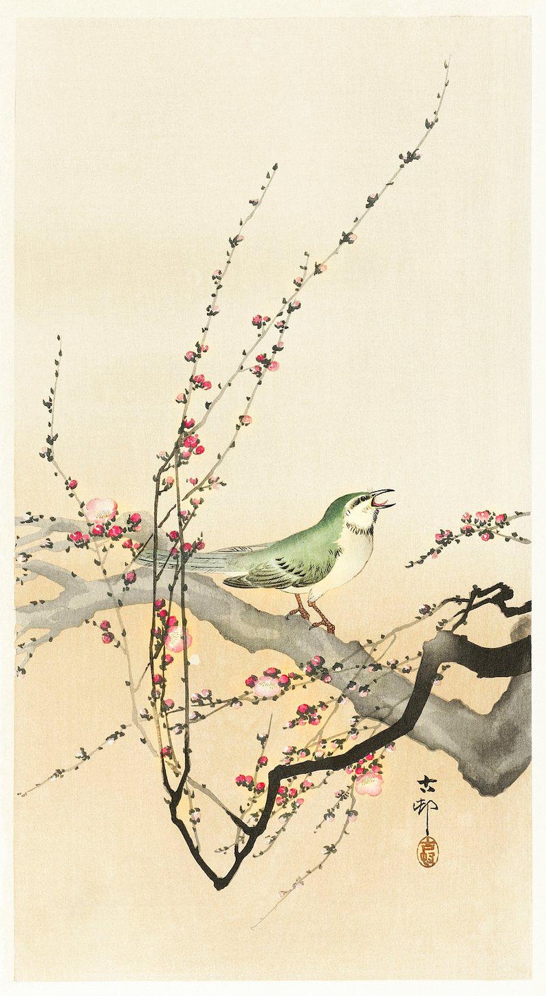 Ohara Koson Print | Plum Blossoms Poster | Bird Artwork | Japanese Art ...