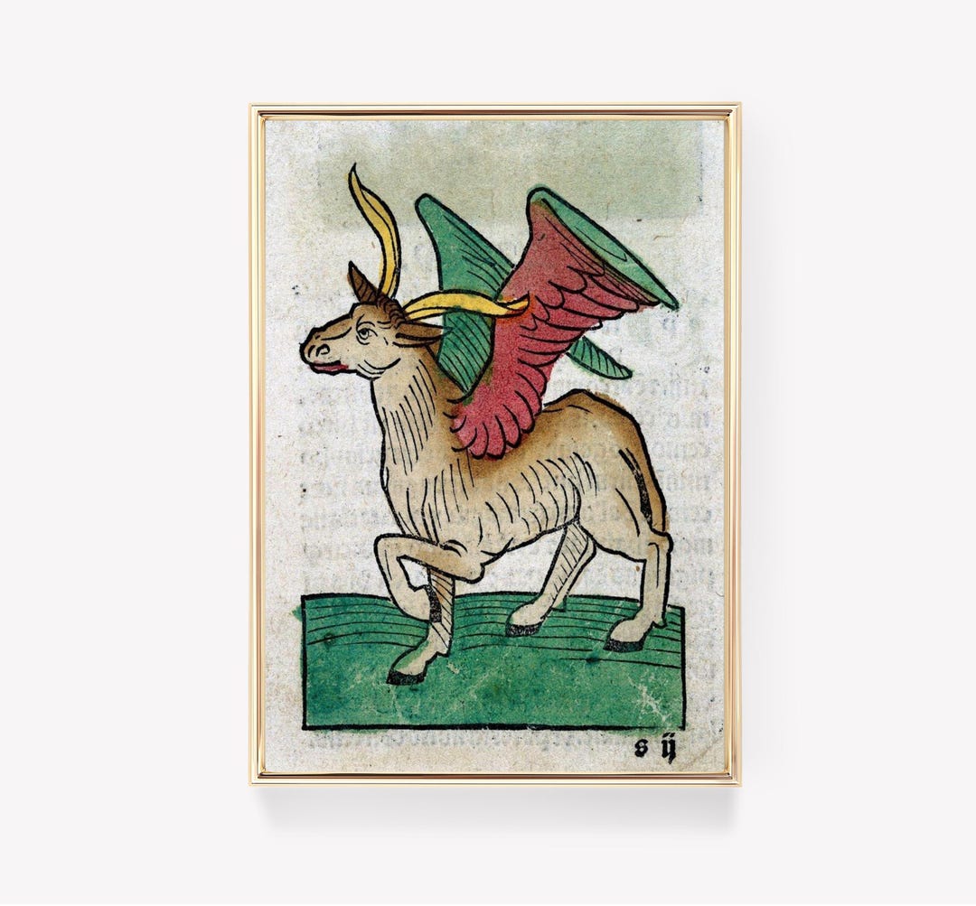 Medieval | Winged | Ox | Illustration | Vintage | Art | Antique | Print ...