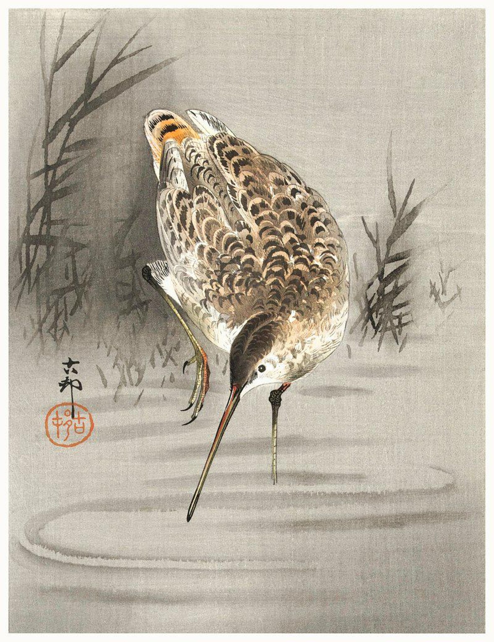 Vintage Snipe Painting | Ohara Koson Art | Bird Print | Reeds Decor ...