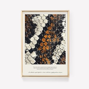 Snake Wall Art, Snake Pattern Poster, Aesthetic Trendy Photography ...