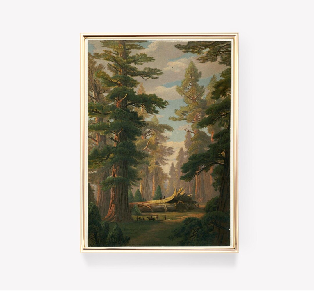 Albert Bierstadt | Big Trees Print | Calaveras Grove | Vintage Painting ...