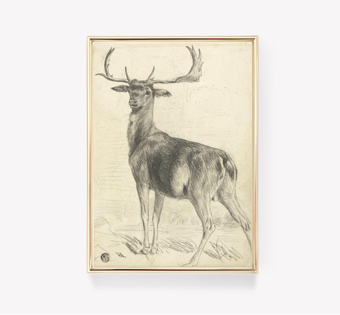Picasso Deer Print | Vintage Painting | Animal Art | Wall Decor ...
