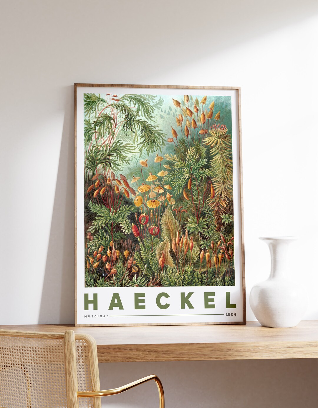 Ernst Haeckel - Muscinae | Botanical Print | Vintage Print | Flowers ...