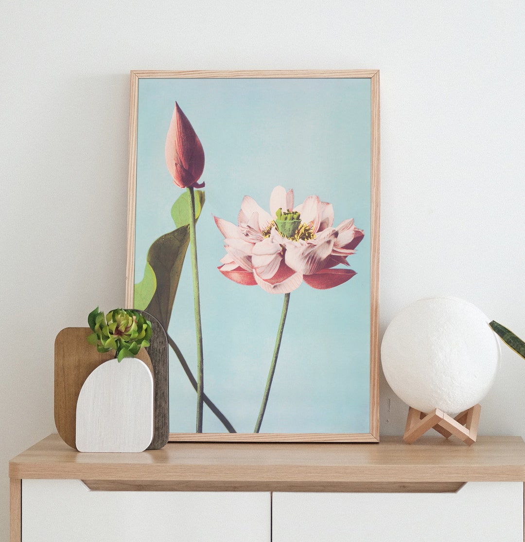 Lotus Flowers Poster, Ogawa Kazumasa, Botanical Print, Lotus Flower ...
