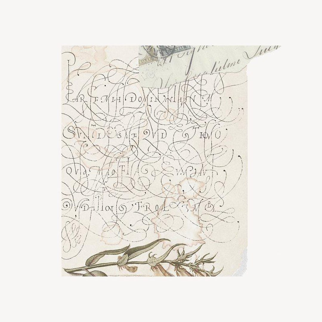 Calligraphy Art | Handwritten Print | Elegant Script | Vintage ...
