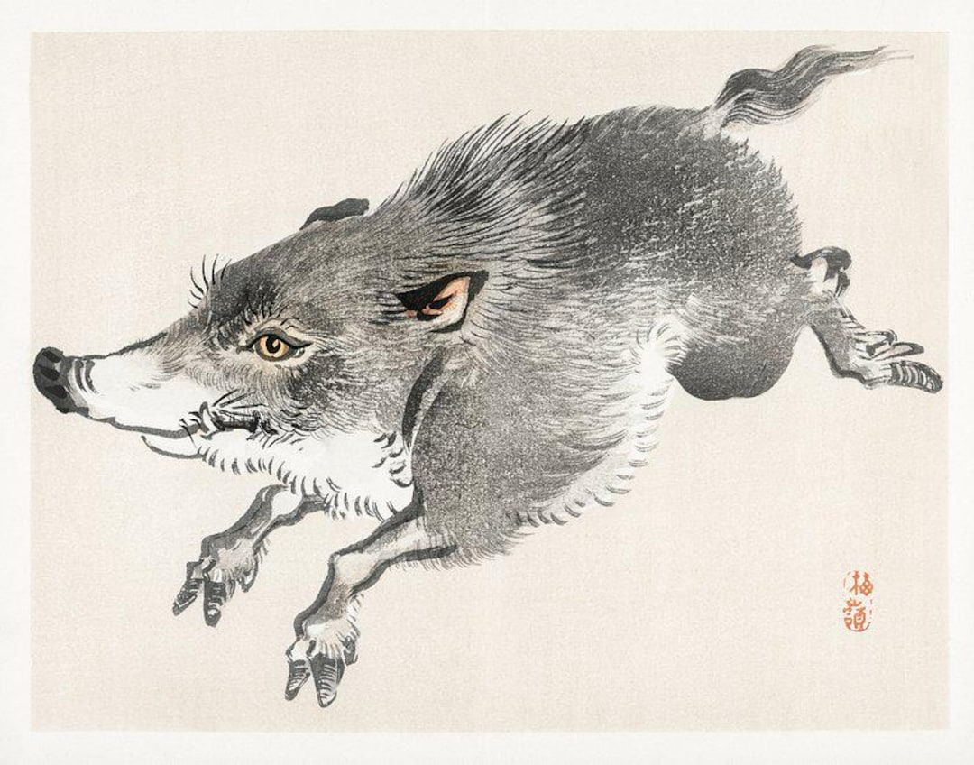 Katsushika Hokusai Print | Inoshishi Art | the Boar Poster | Vintage ...