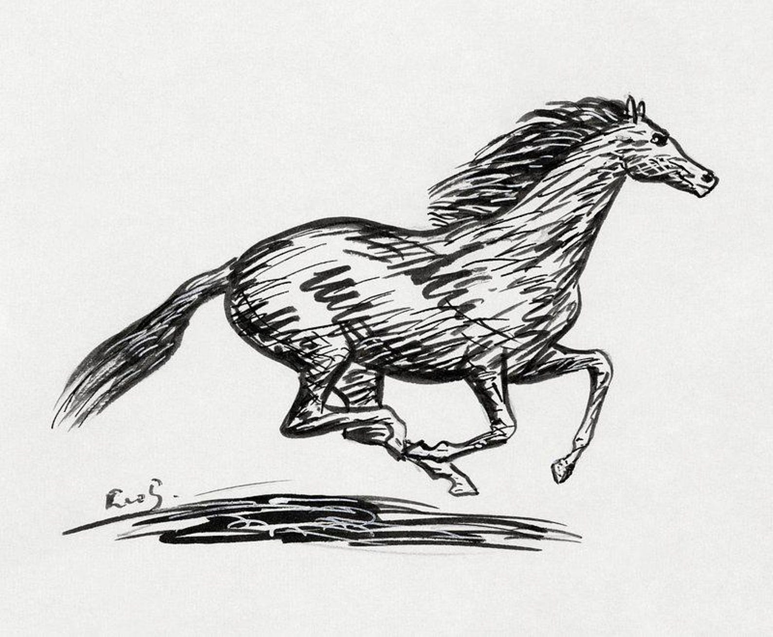 Leonardo Da Vinci Horse | Iconic Sketch Art | Renaissance Drawing | Da ...