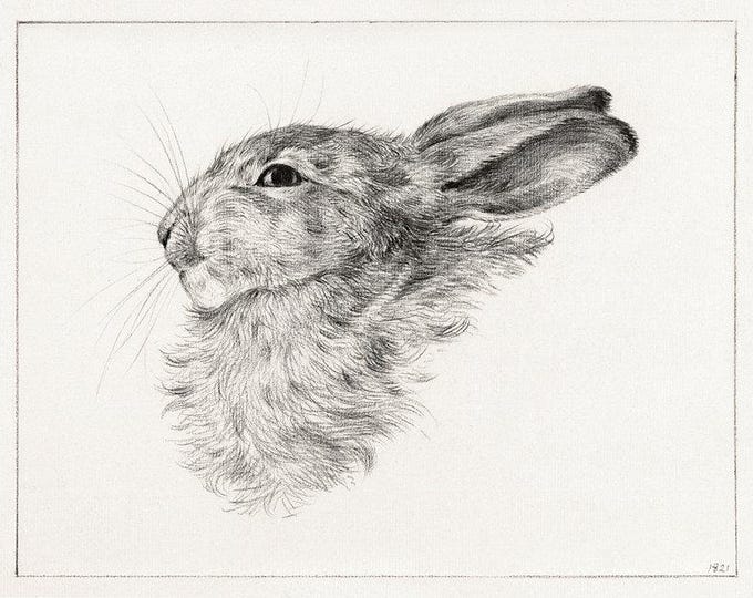 Antique Rabbit Painting Art Print, Hans Hoffmann, A Hare Among Plants ...