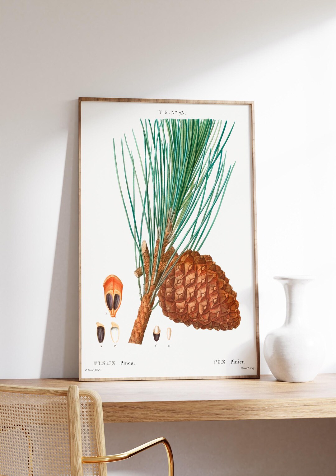 Stone Pine Print | Christmas Poster | Vintage Print | Pine Cone ...