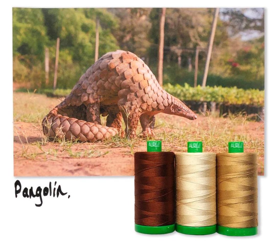 Pangolin Color Builder Thread Set | AC40CP3-011 | Aurifil Thread ...
