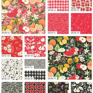 Fruit Loop Fat Eighth Bundle by Basicgrey for Moda 30730f8 - Etsy
