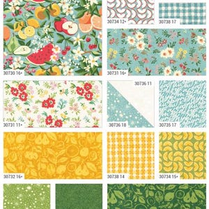 Fruit Loop Fat Eighth Bundle by Basicgrey for Moda 30730f8 - Etsy