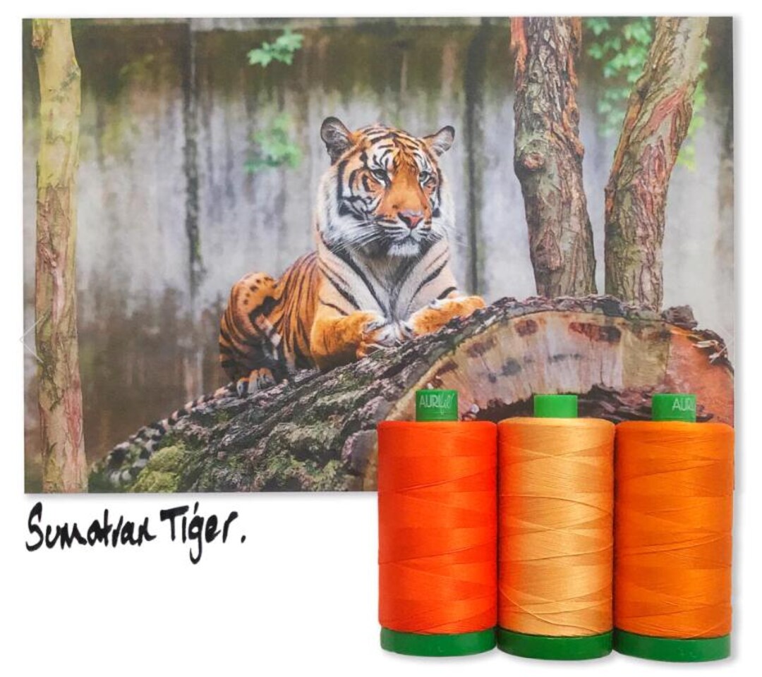 Sumatran Tiger Color Builder Thread Set | AC40CP3-007 | Aurifil Thread ...