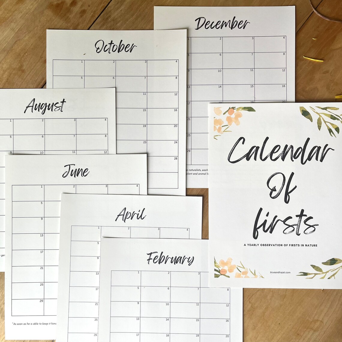 Calendar of Firsts PDF, Charlotte Mason Nature Study Guide, Charlotte ...