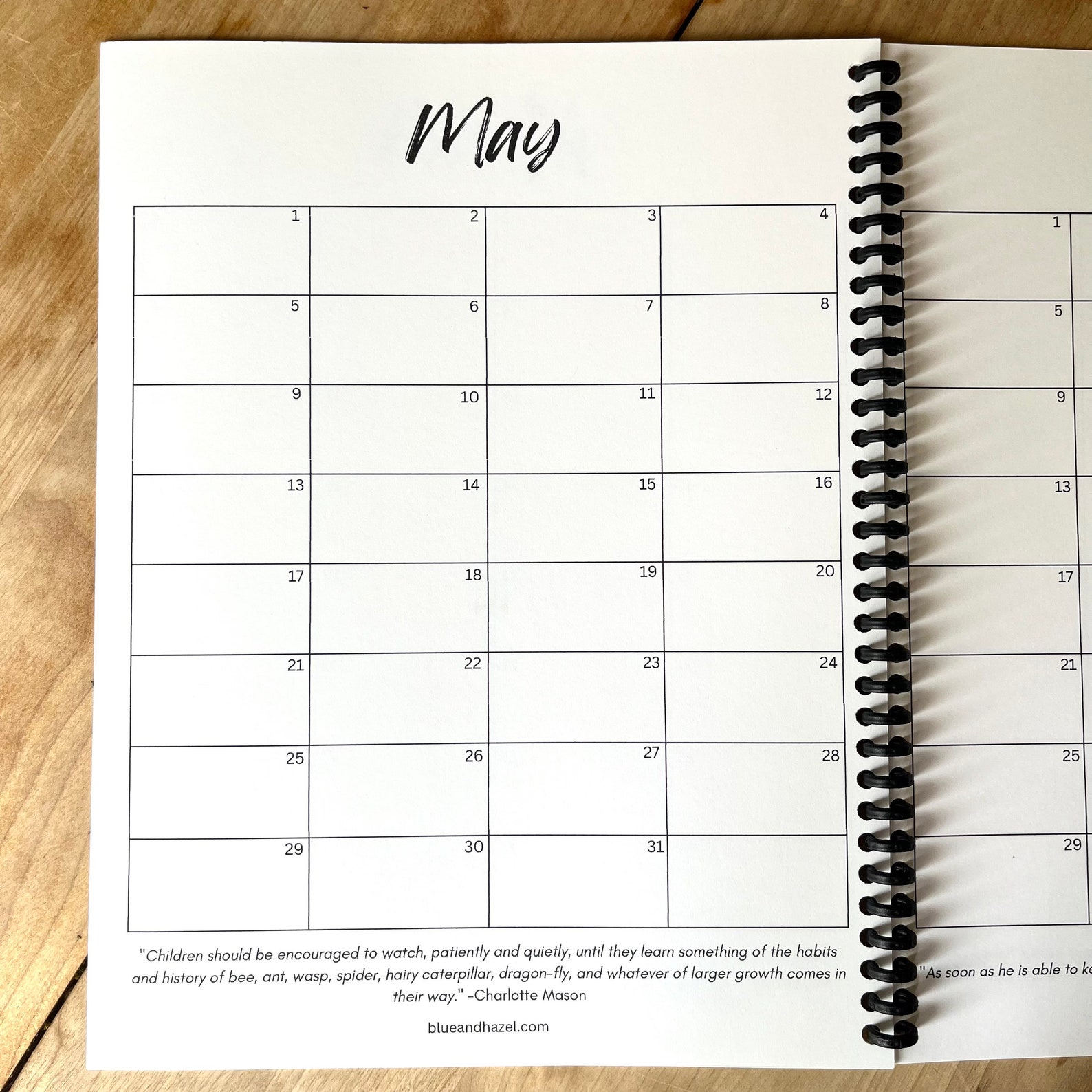 Calendar of Firsts PDF, Charlotte Mason Nature Study Guide, Charlotte ...