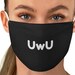 UwU Face Mask Cute Kawaii Emoji Emoticon gift for Sister for | Etsy
