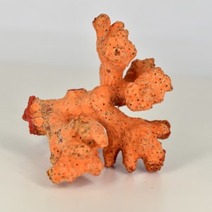 Natural Italian Red Coral Branch, Red Coral Tree, Size 62X72 MM Coral ...