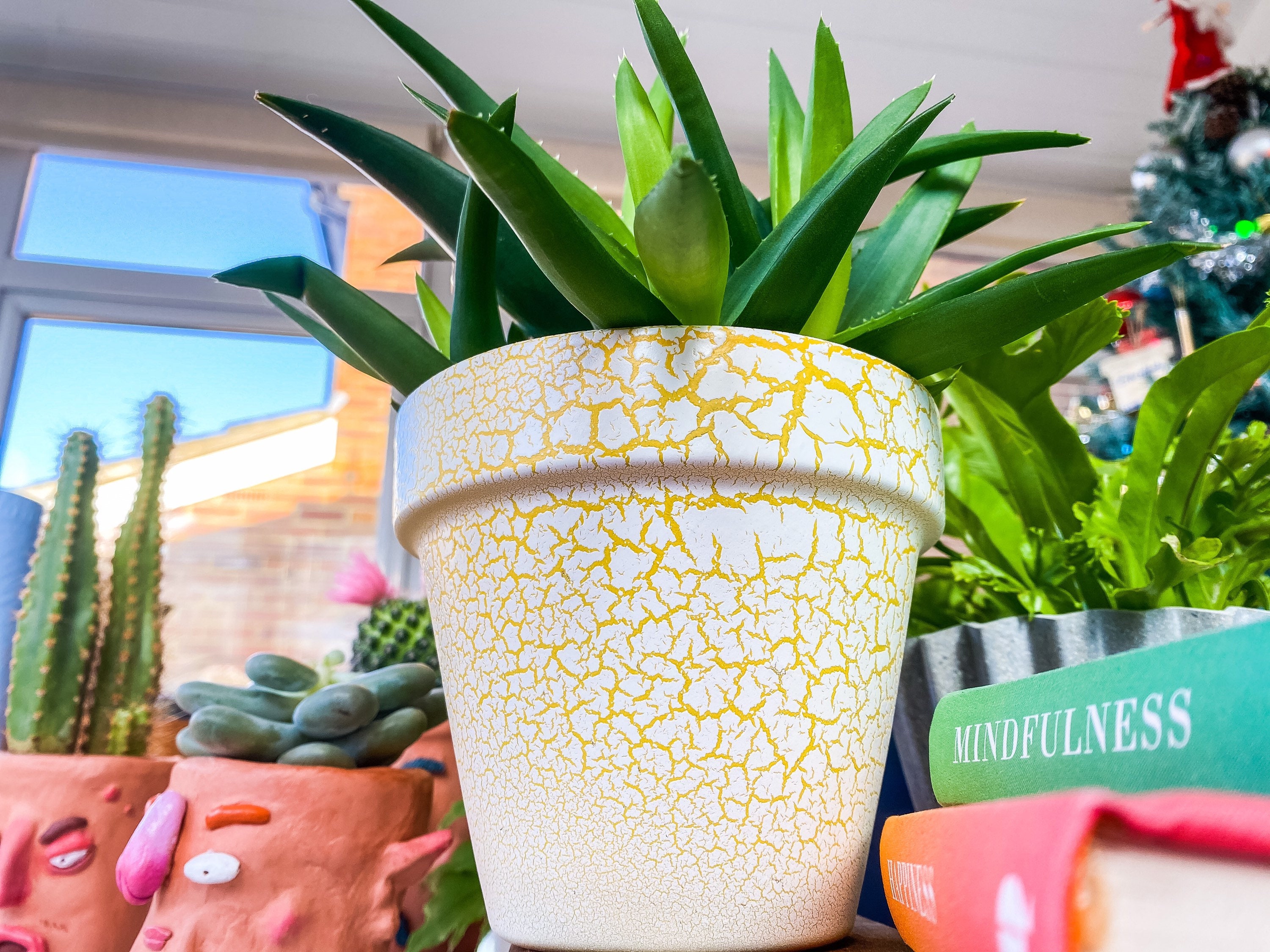 Crackle ‘pretty Ugly’ Plant Pot - Etsy