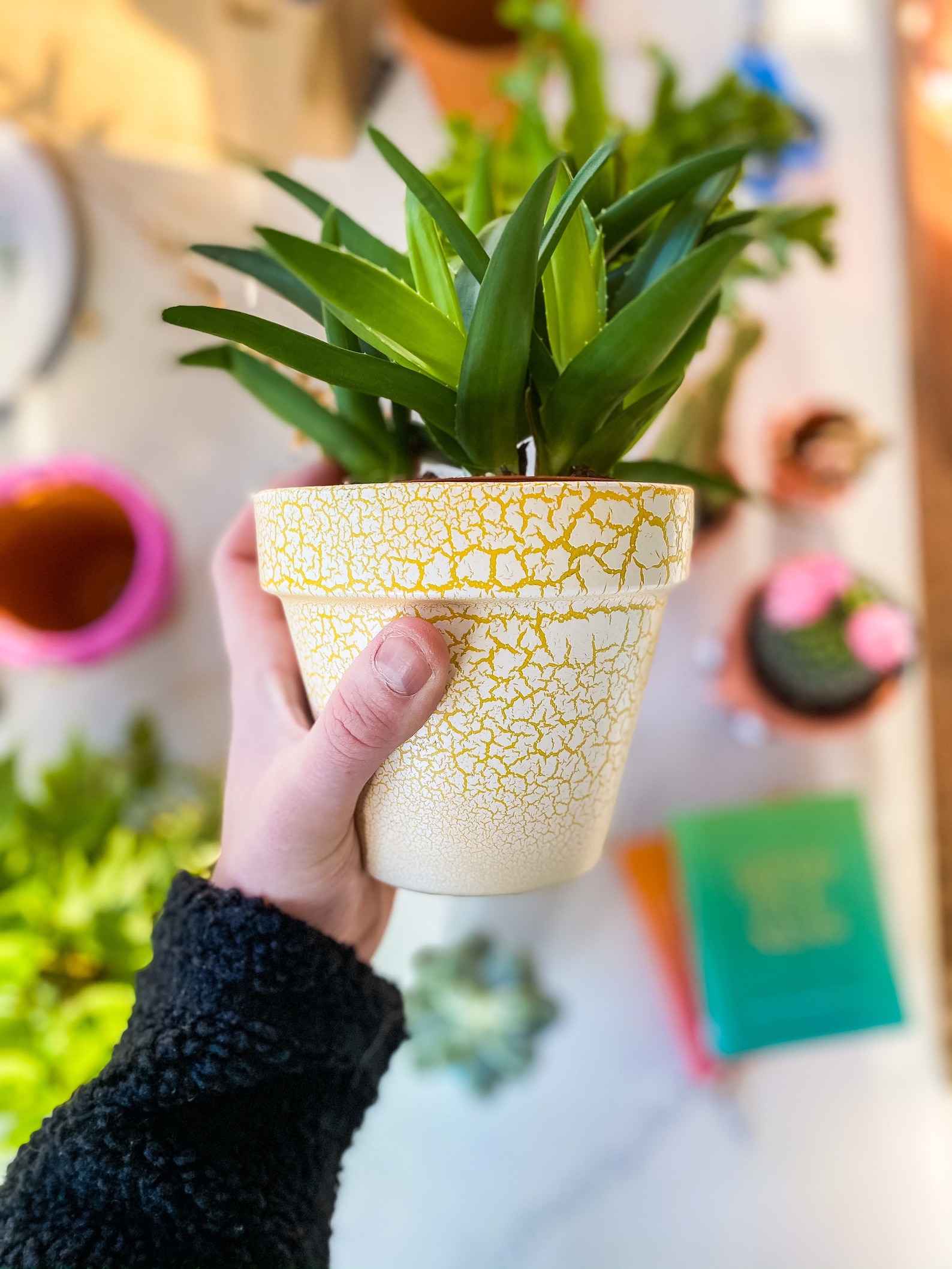 Crackle ‘pretty Ugly’ Plant Pot - Etsy