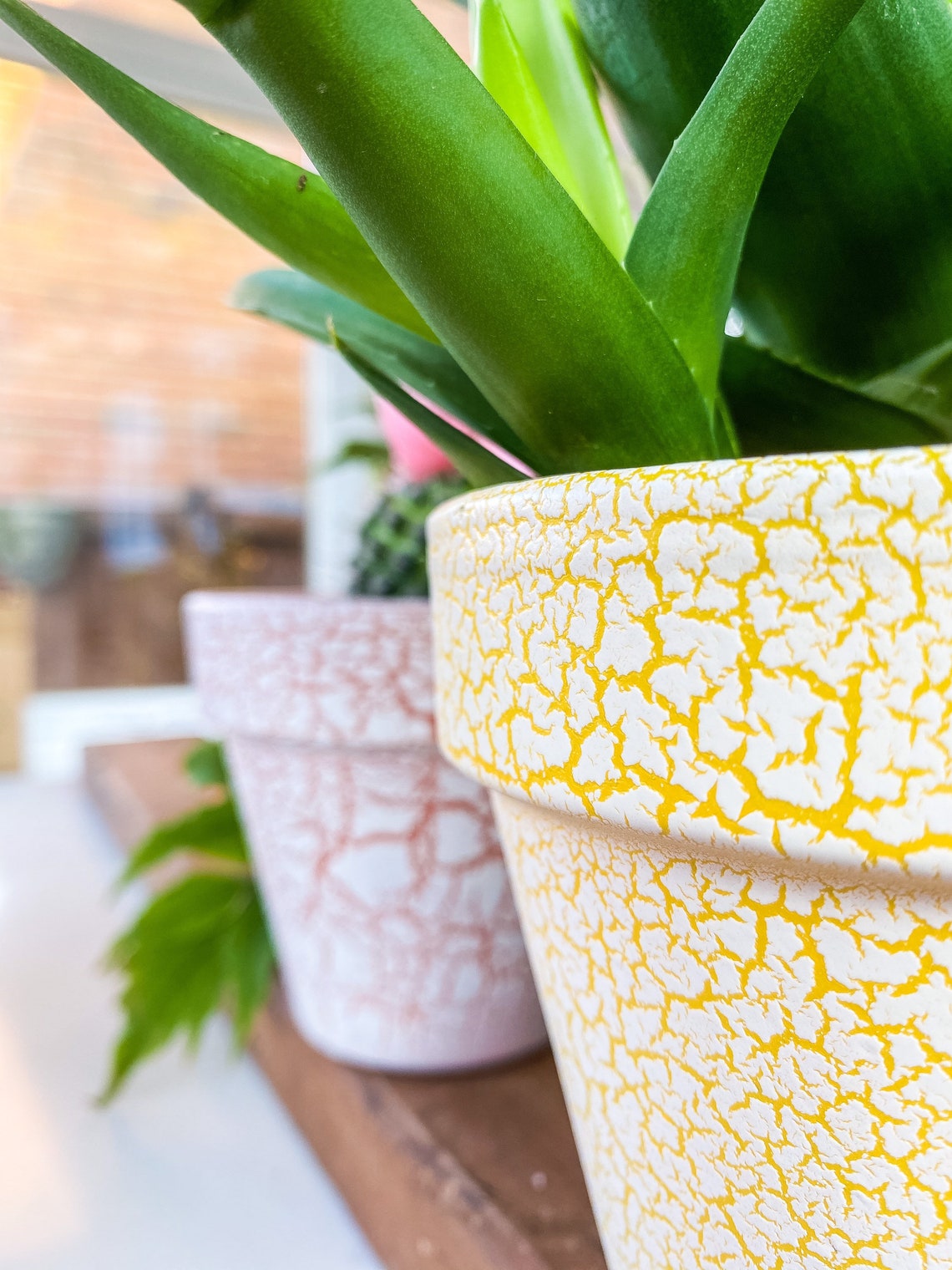 Crackle Pretty Ugly Plant Pot | Etsy