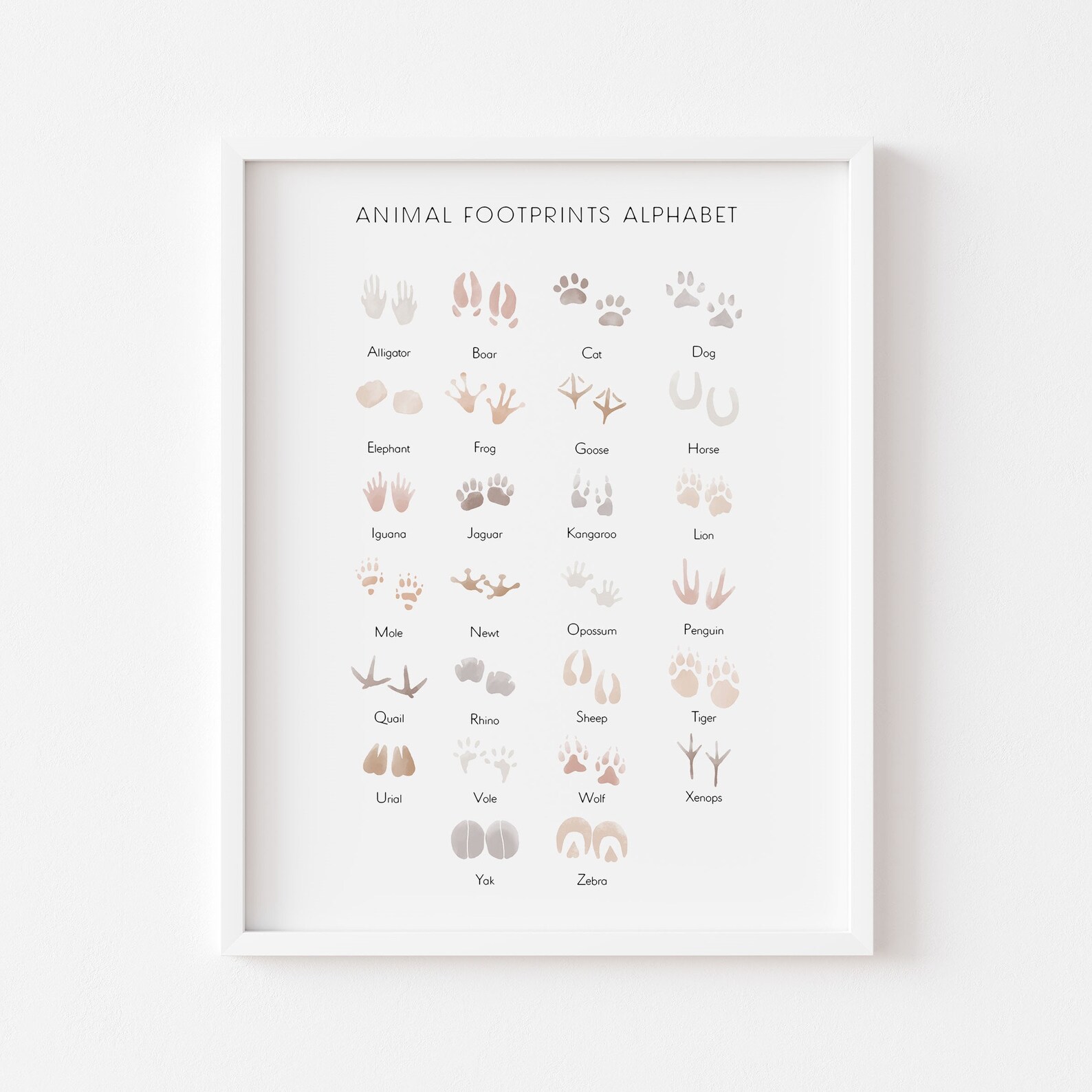 Footprint Alphabet Print Animal foot ABC Poster Neutral | Etsy