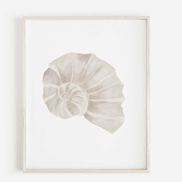 Sea Shell Wall Art - Etsy