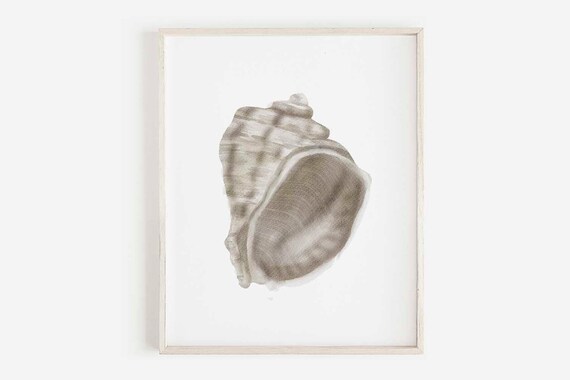 PRINTABLE Seashell Art Seashell Print Summer Nursery Wall - Etsy
