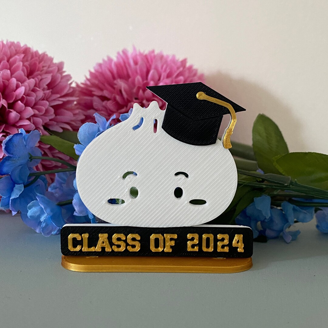 Class of 2024, Bao Graduation Photo Stand, Graduation Gift, High School ...