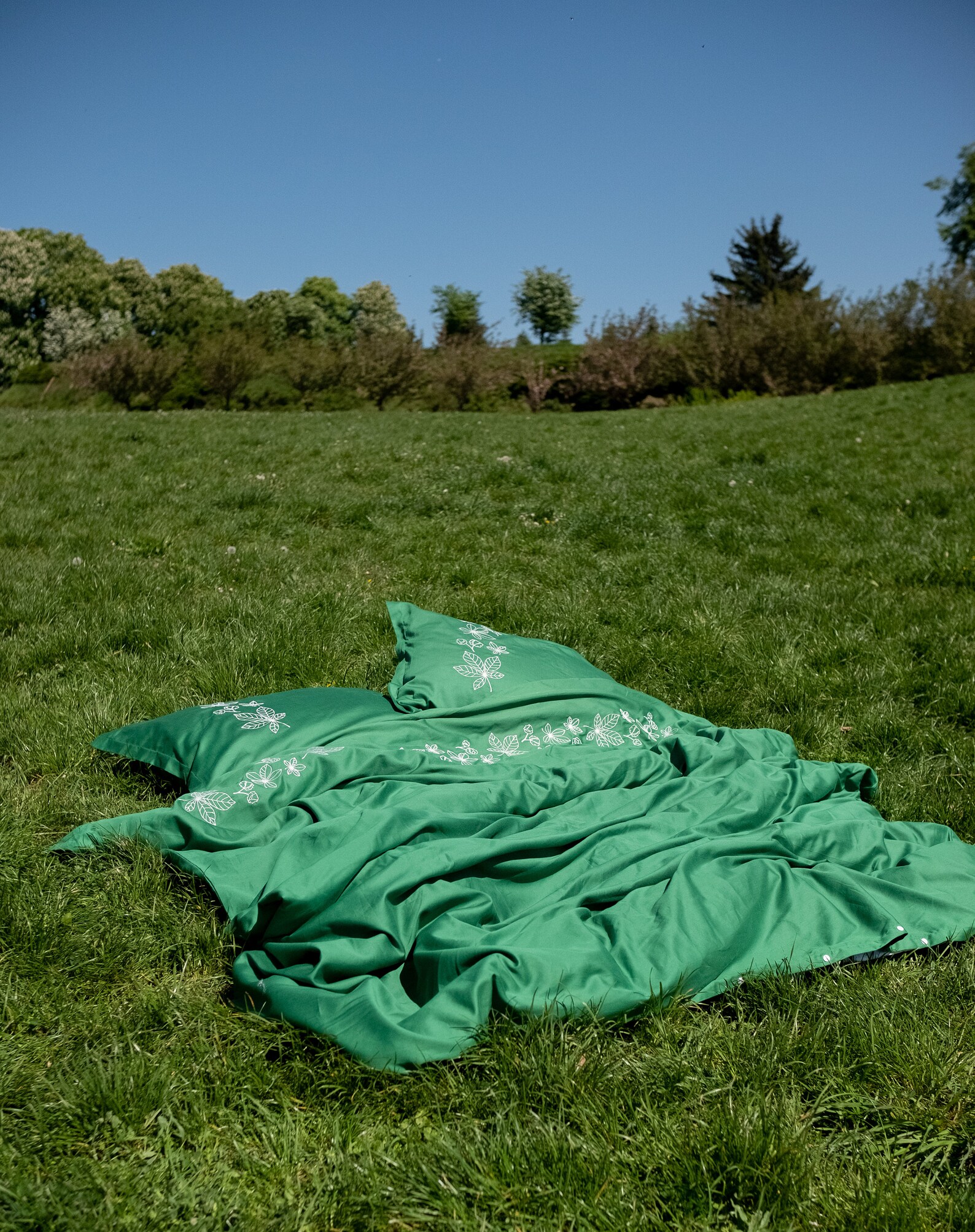 Green Duvet Cover With Chestnuts Embroidery, Natural 100% Cotton Sateen ...