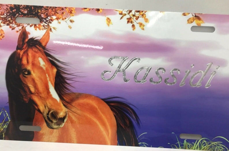Horse Riding Horses Personalized Custom License Vanity Plate - Etsy