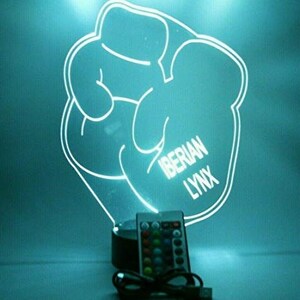 Boxing Gloves Sports Night Light up Table Desk Lamp LED Personalized ...